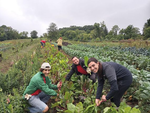 Project Bread Grants Expand Local Hunger Relief Efforts